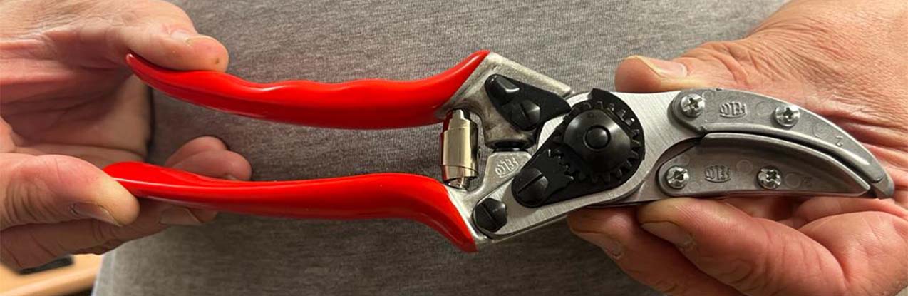 Felco Model 100 | Buy and Save with World of Secateurs