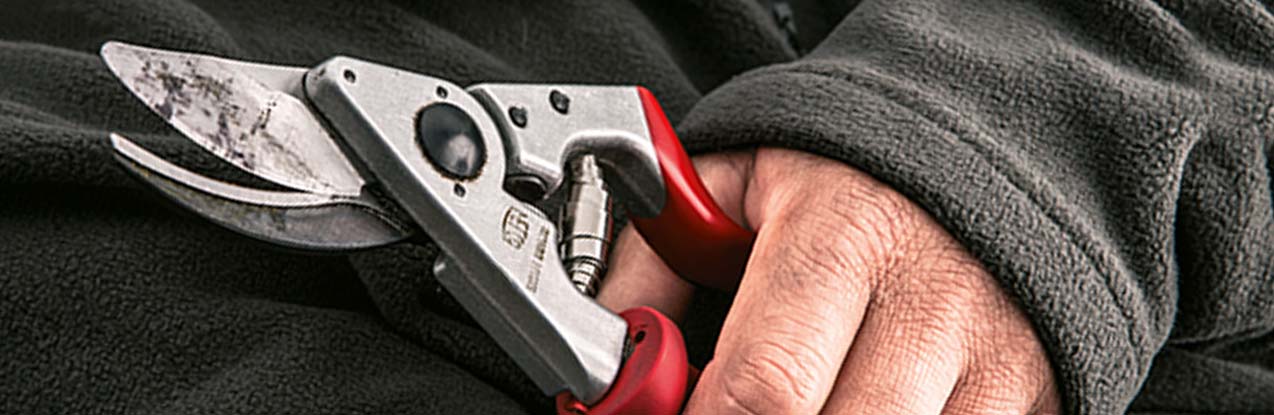 Felco Model 10 | Buy and Save with World of Felco