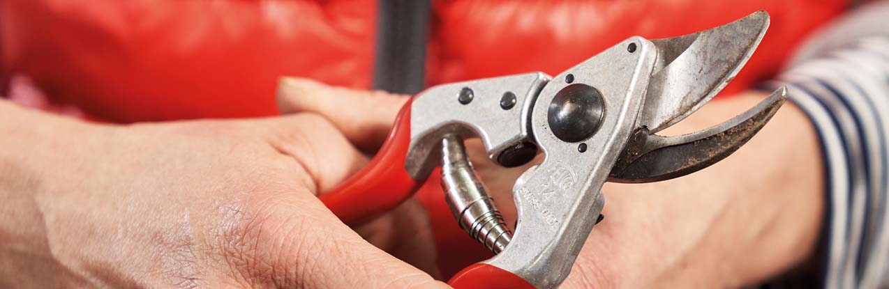 Felco Model 14 Small Secateurs | World of Secateurs
