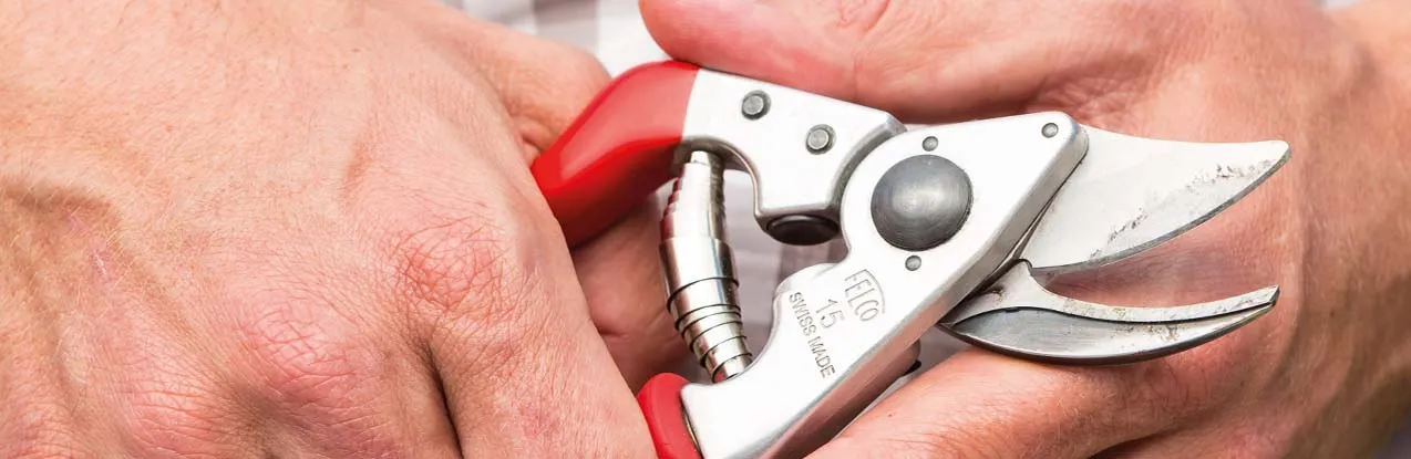 Felco Model 15 | Buy and Save with World of Secateurs