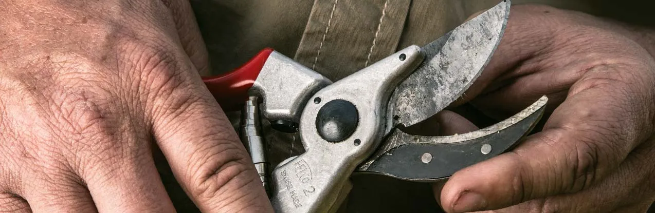 Felco Model 2 Secateurs | World of Secateurs