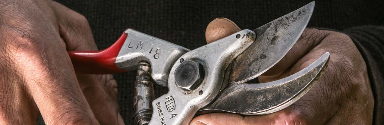 Felco Model 4 Secateurs | World of Secateurs
