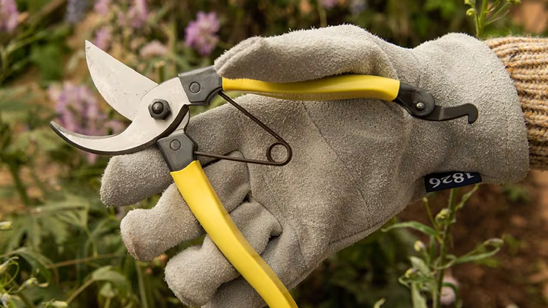 All Niwaki Products - Niwaki Secateurs